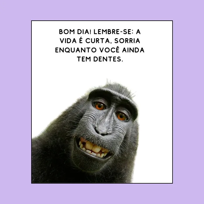 30 Frases de Bom Dia para Alguém Especial: Espalhe Carinho